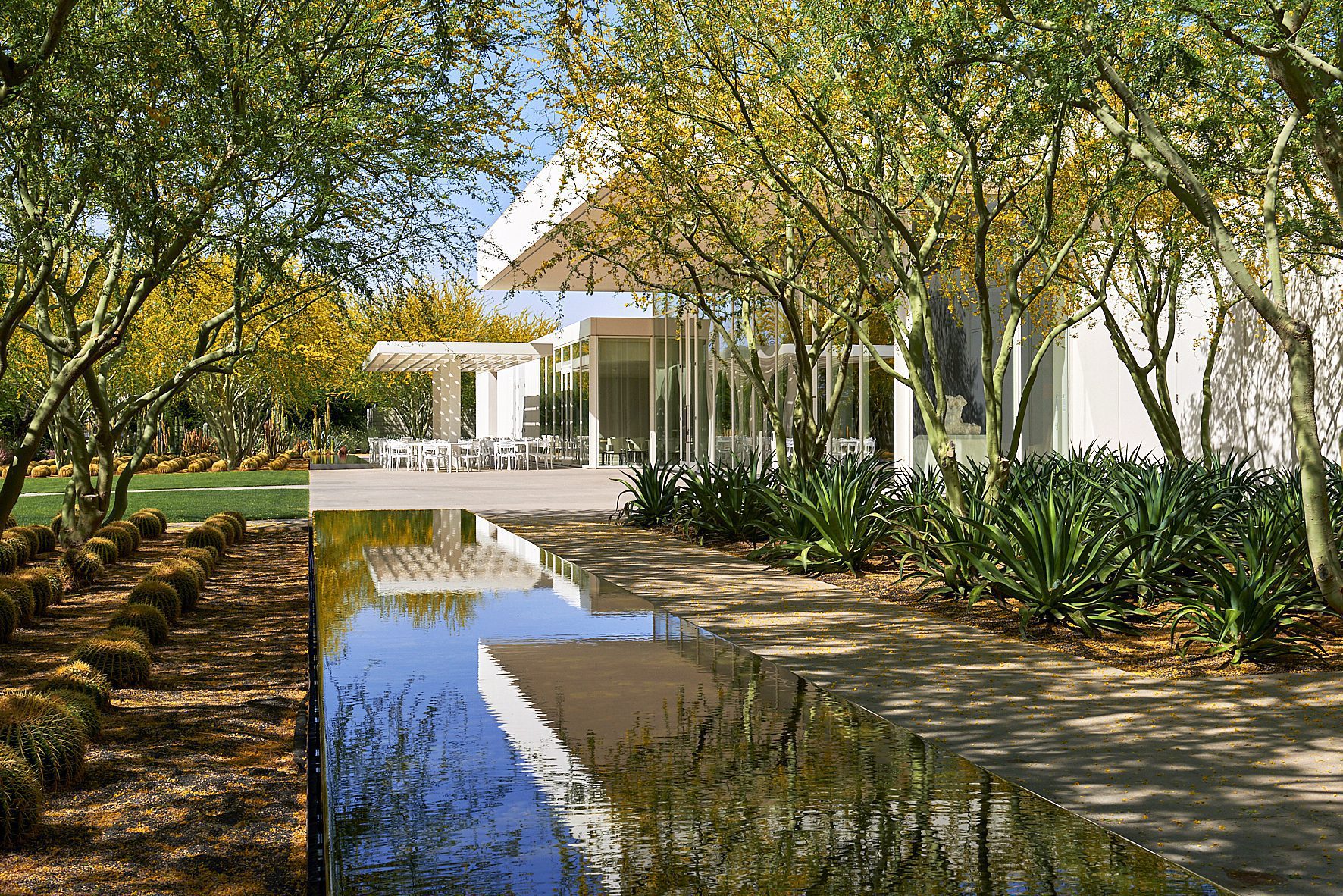 Hotel Near Palm Springs Sunnylands | Hotel Paseo